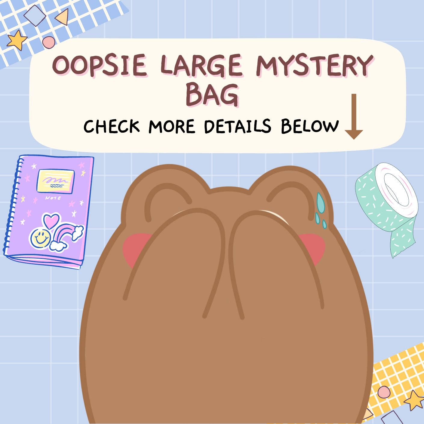 PochiFam Oopsie Large Stationery Mystery Bag – Pochistudios
